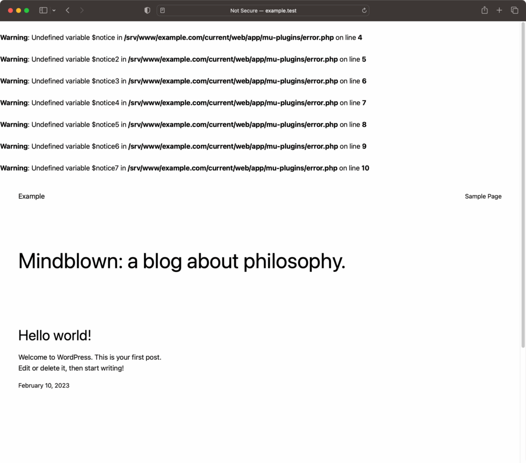 Better Wordpress Debugging With Acorn Roots
